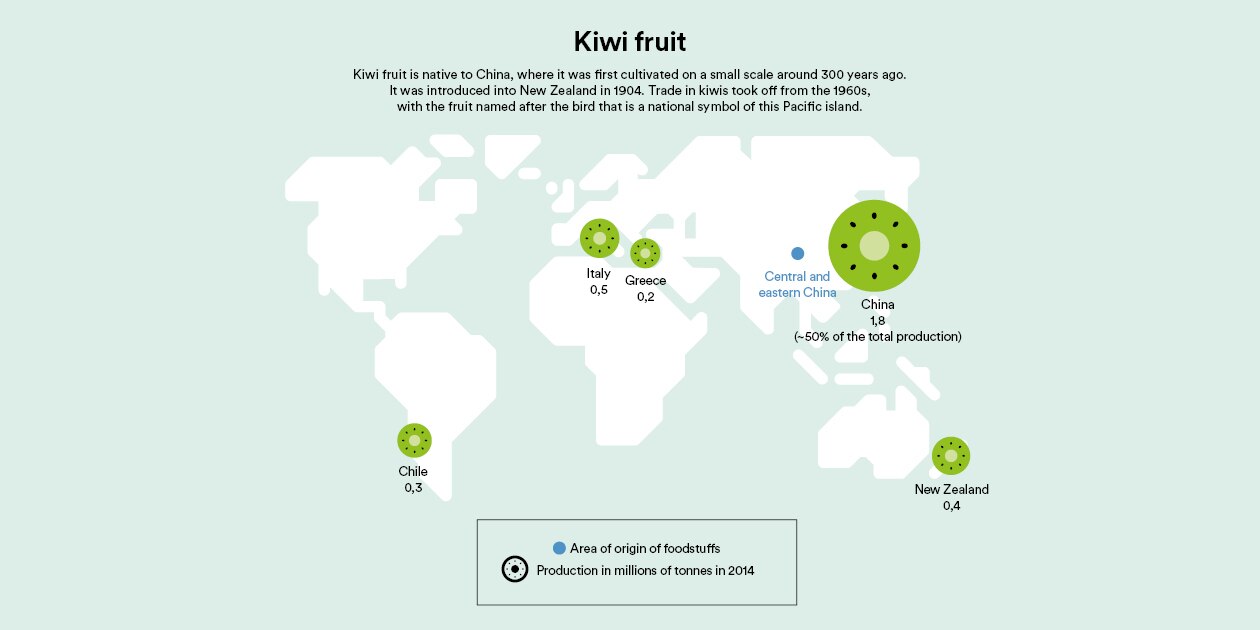 Where does our food come from? | alimentarium